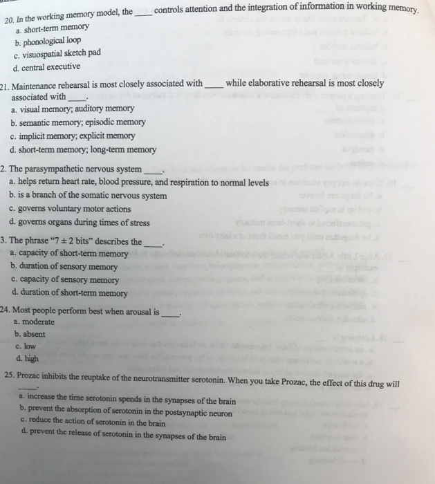 The Central Executive Model of Memory Is Associated With