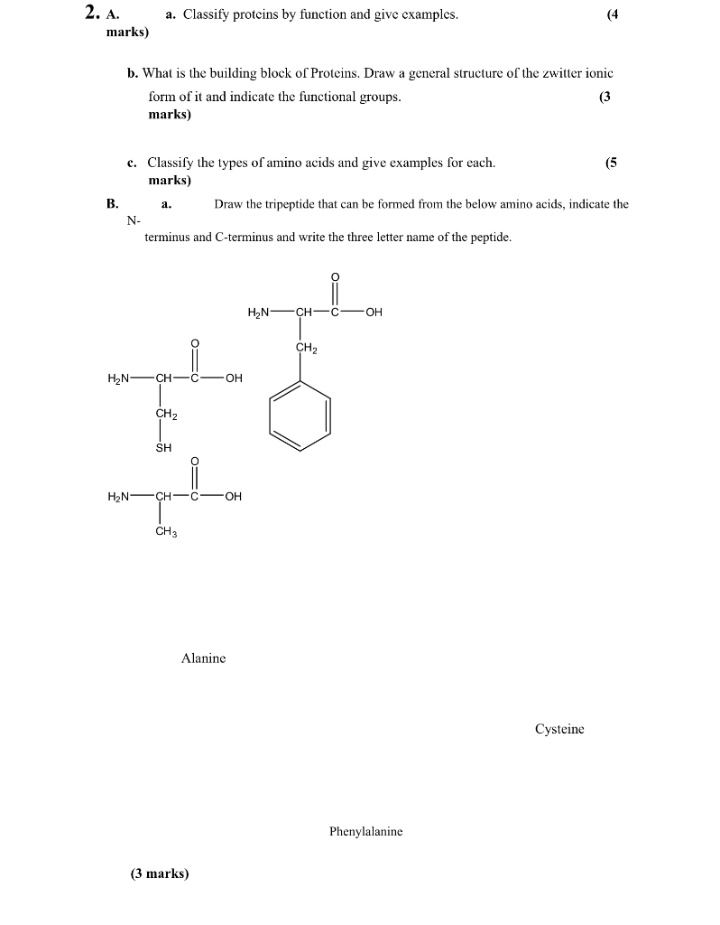 Solved 2. A. marks) a. Classify proteins by function and | Chegg.com