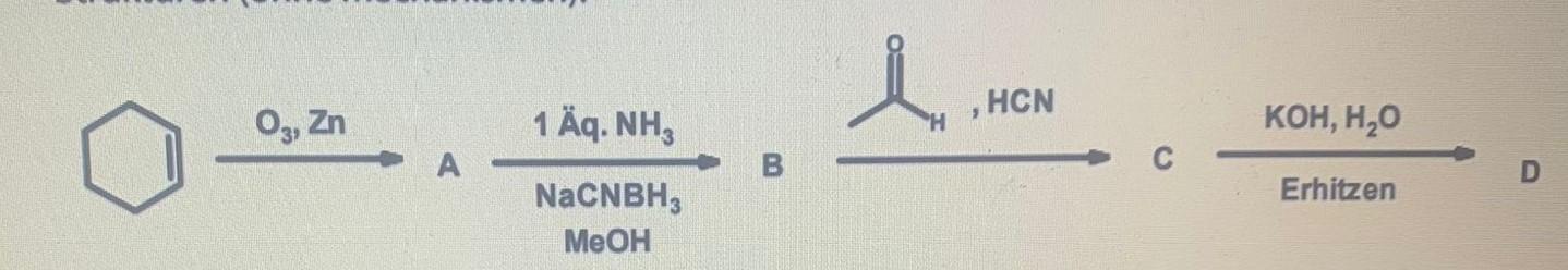 Solved O3, Zn ,HCN 1Ăq. NH3 KOH, H20 B D Erhitzen NaCNBH | Chegg.com