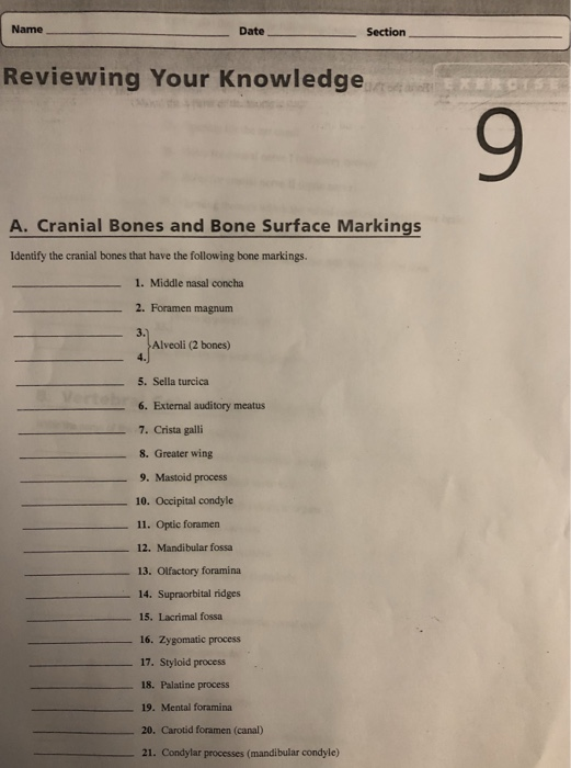 Solved: Name Date Section Reviewing Your Knowledge 9 A. Cr... | Chegg.com