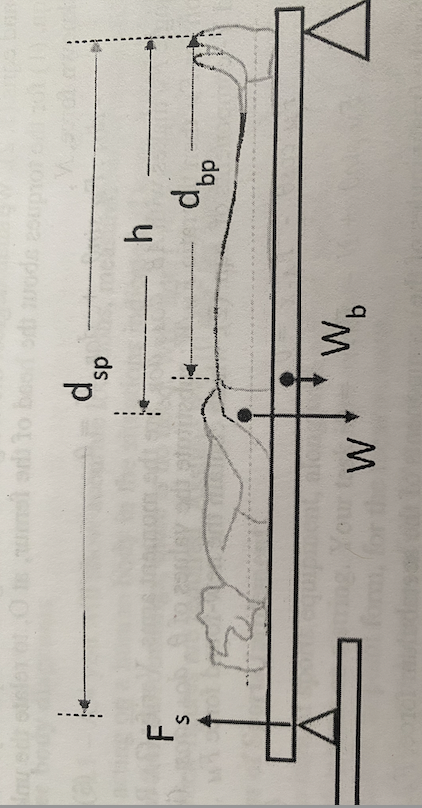 Solved Locate the center of mass (CM) of your partner , | Chegg.com