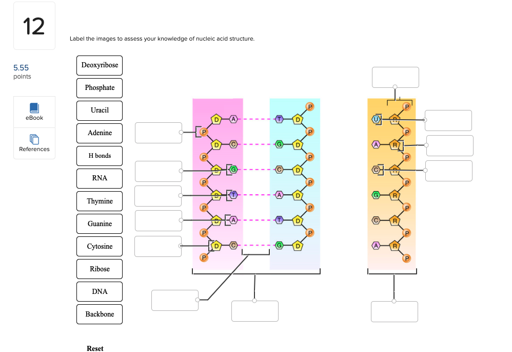 Solved label the phospholipid structure | Chegg.com
