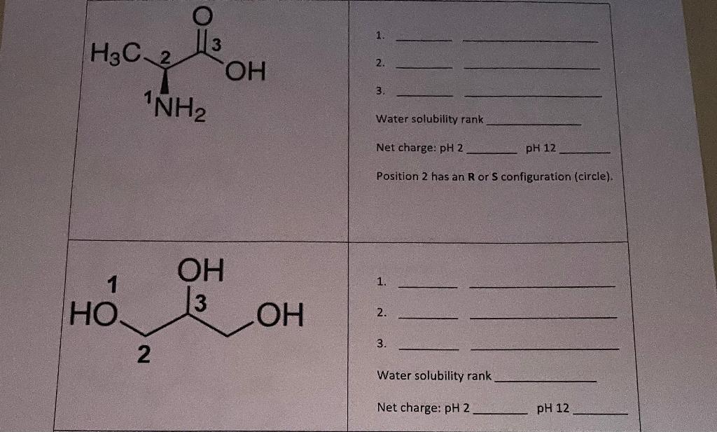 Solved Using the molecular modeling kits provided, construct | Chegg.com