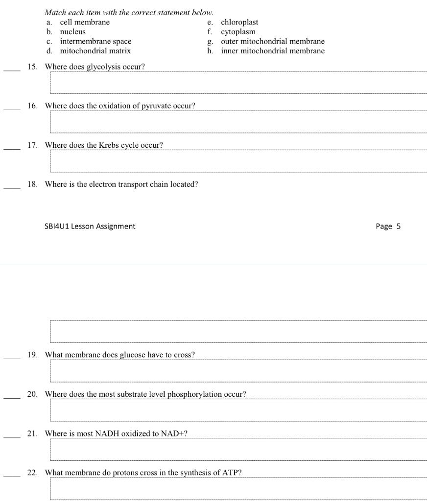 Solved Match each item with the correct statement below. a. | Chegg.com