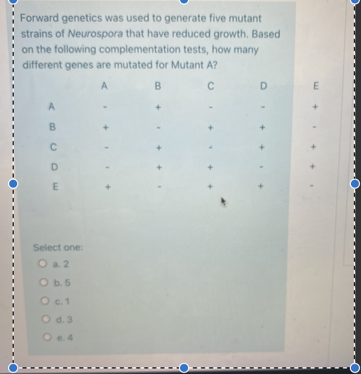 Solved Forward genetics was used to generate five mutant | Chegg.com