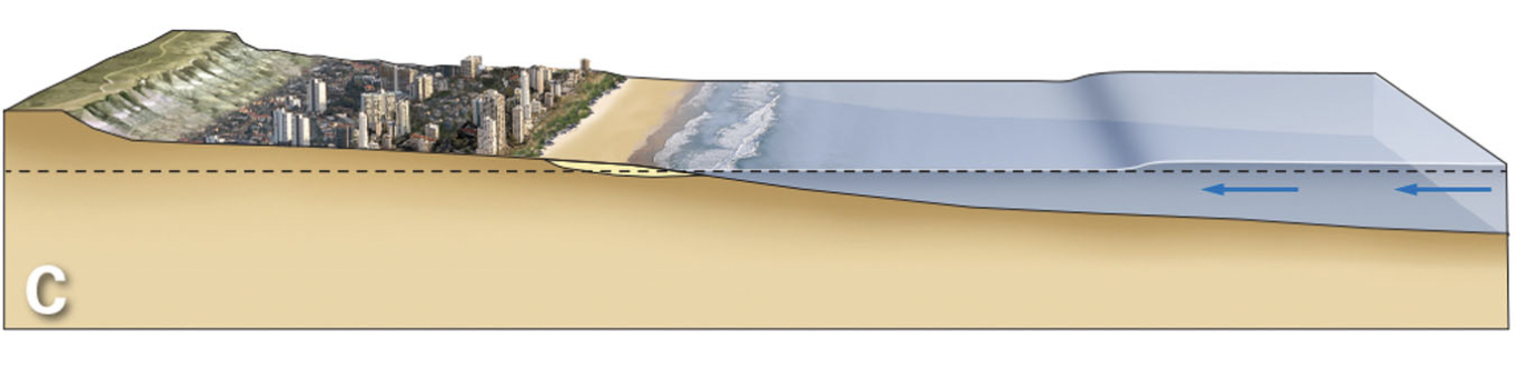 Solved What type of wave is shown in the image? Choose one: | Chegg.com