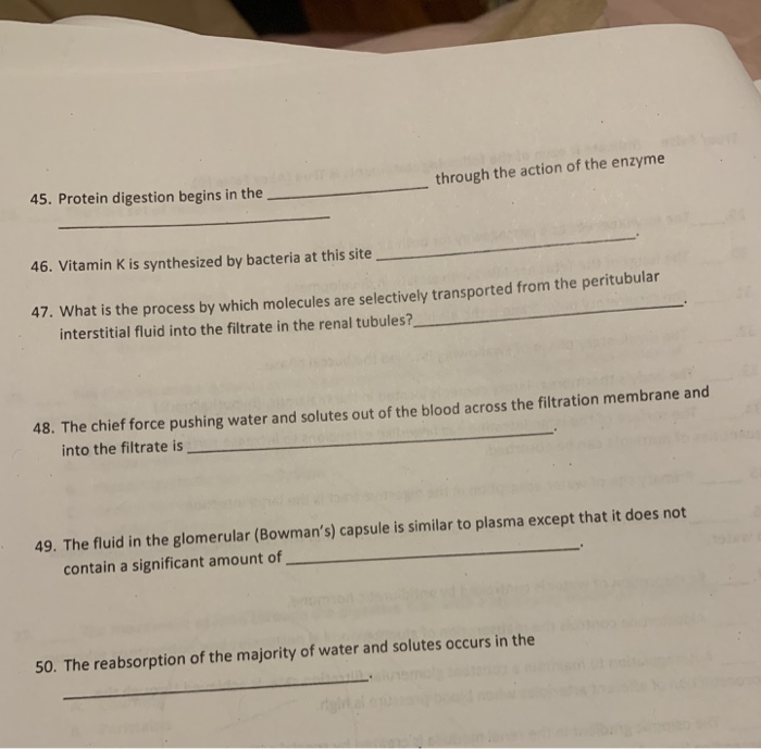 Solved E. Fibrosin 11. The site where starch digestion | Chegg.com