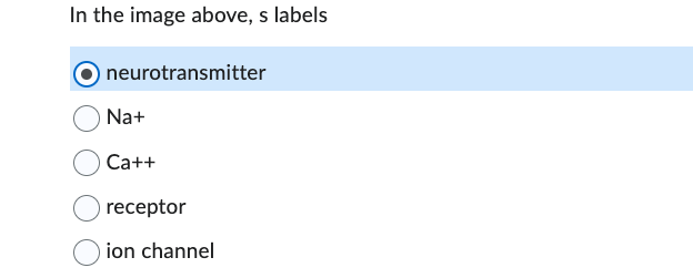 Solved In the image above, s labels neurotransmitter Na+ | Chegg.com