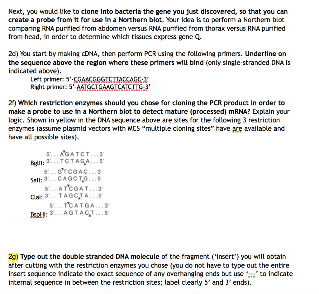 Solved 2a) The sequence below is a partial DNA sequence | Chegg.com