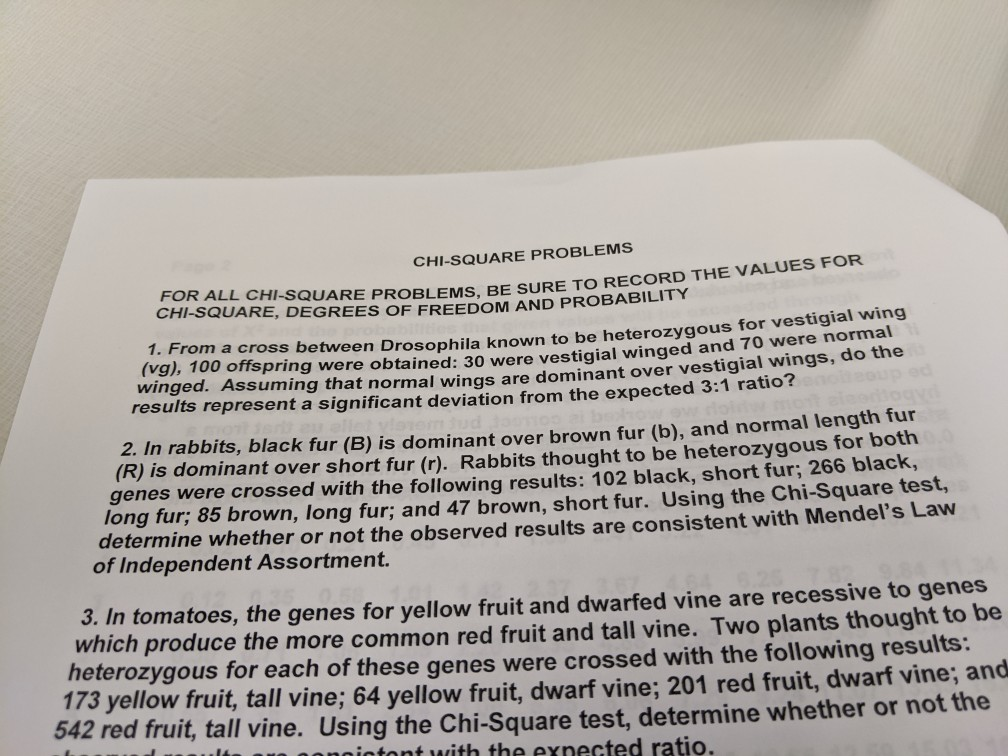 Solved CHI-SQUARE PROBLEMS FOR ALL CHI-SQUARE PROBLEMS, BE | Chegg.com