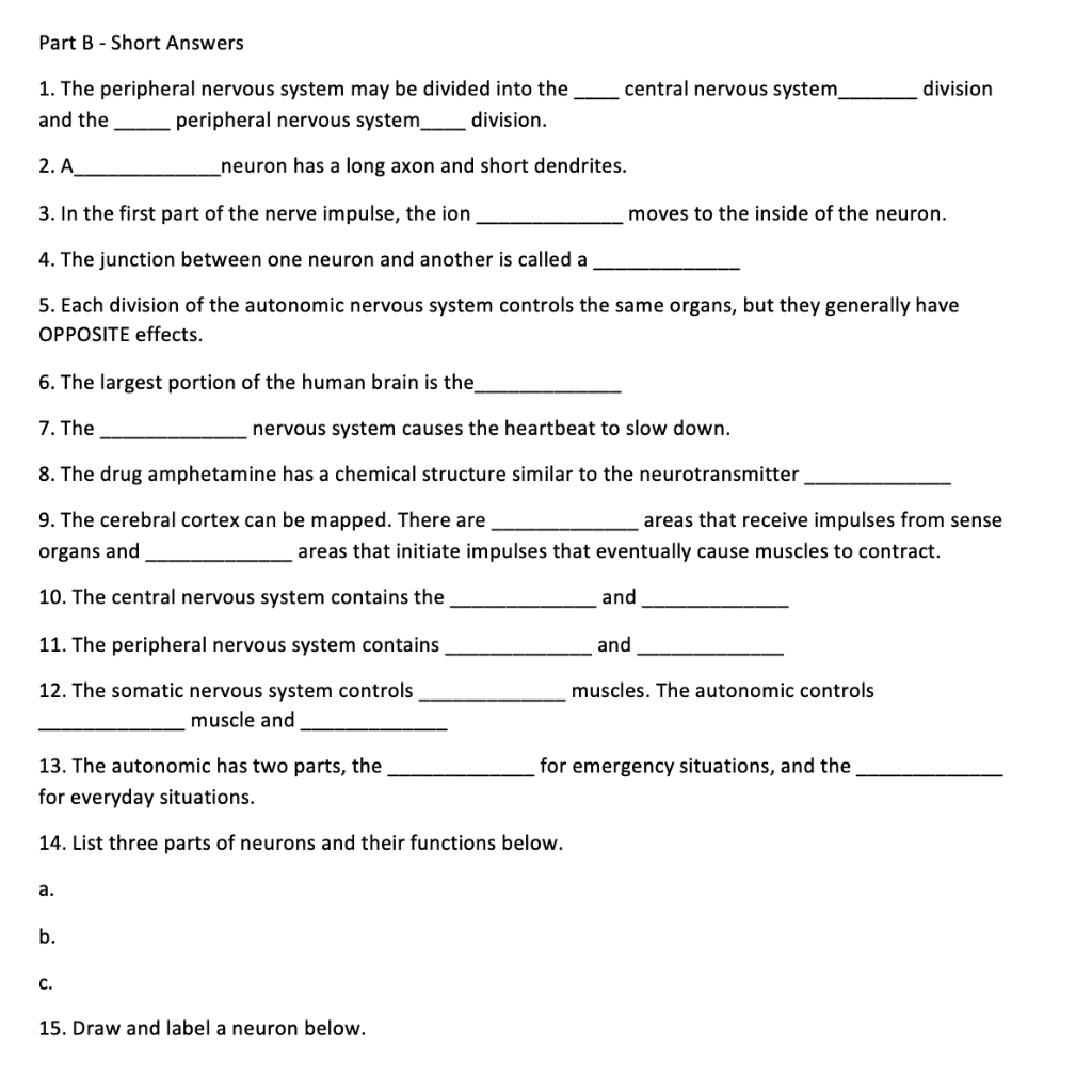 Solved Part B - Short Answers central nervous system | Chegg.com
