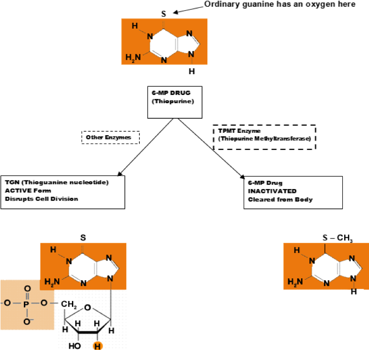 Dr. Ryder learns that the difference in patient | Chegg.com