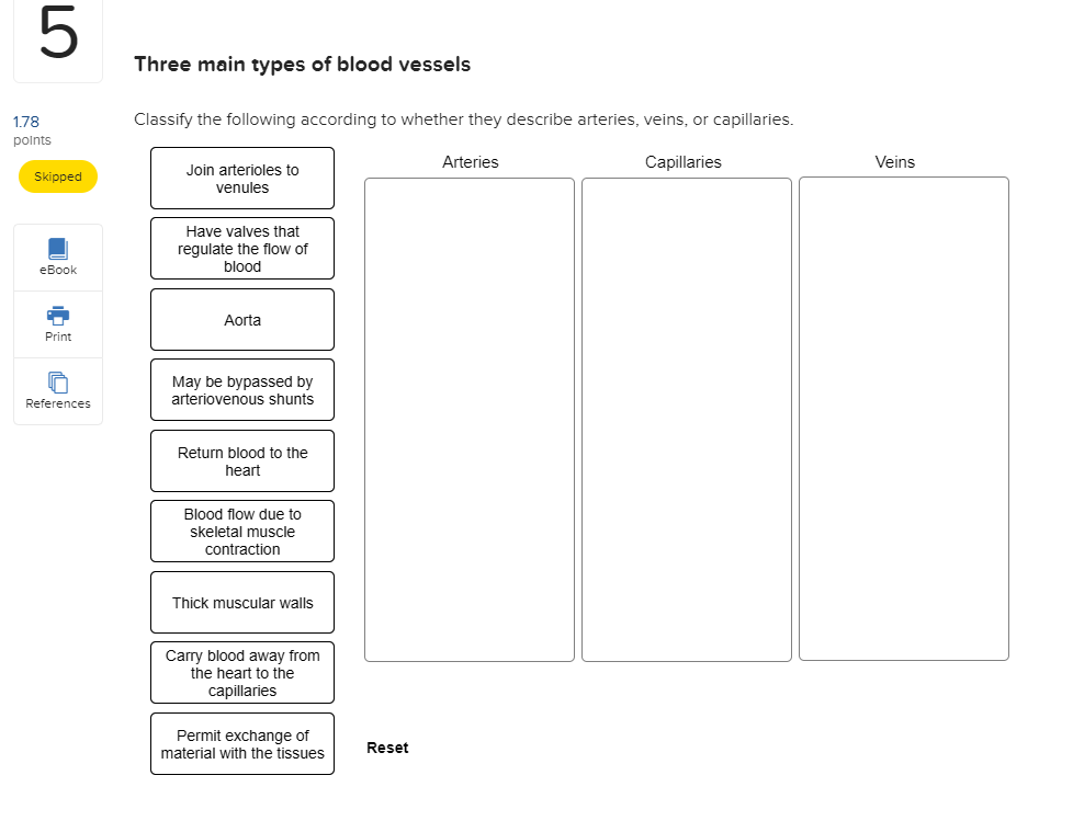 Solved Three main types of blood vessels Classify the | Chegg.com