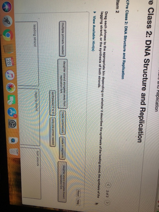 Solved ments > Pre Class 2: DNA Structure and Replication | Chegg.com