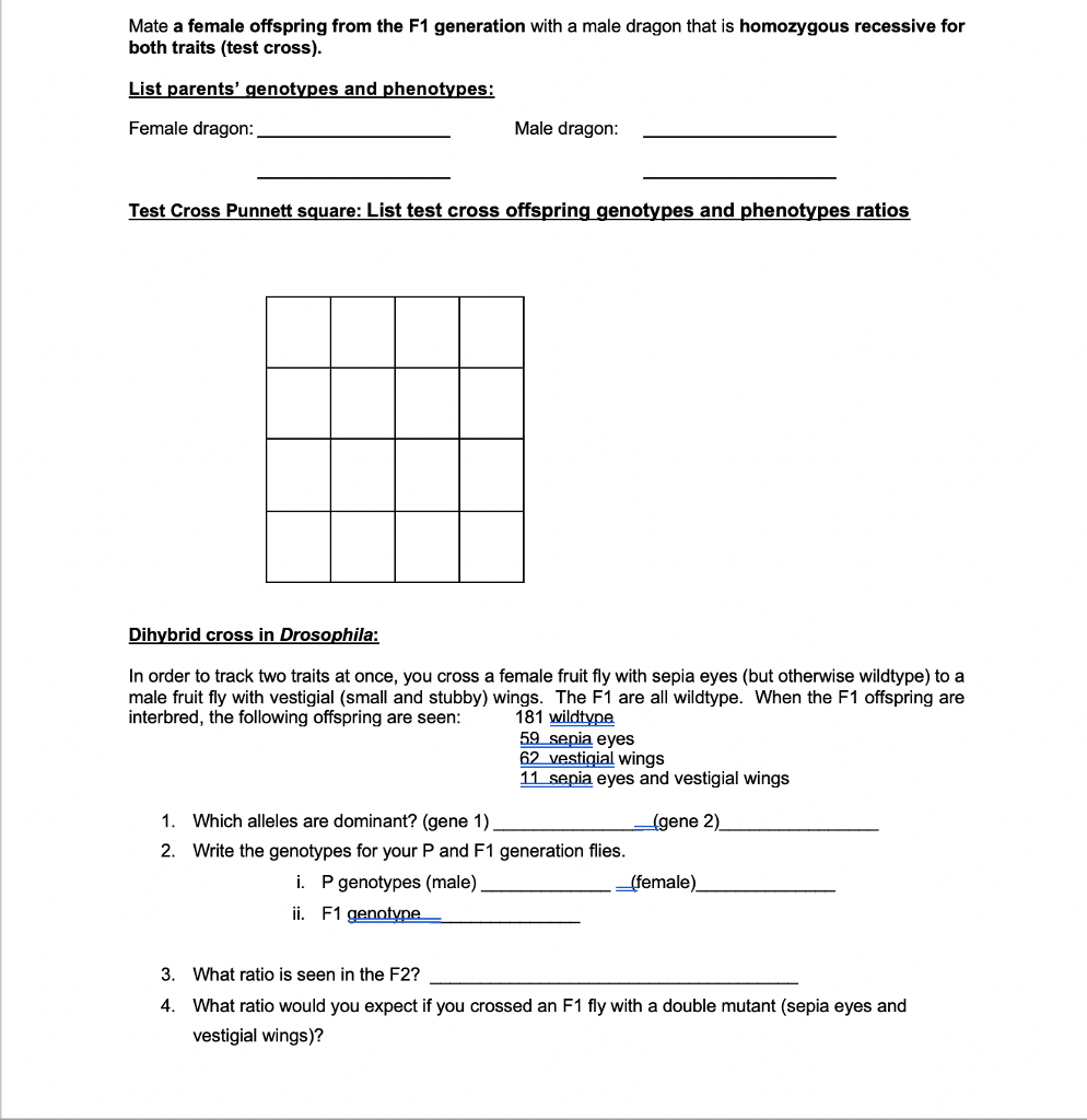 Solved Mate a female offspring from the F1 generation with a | Chegg.com