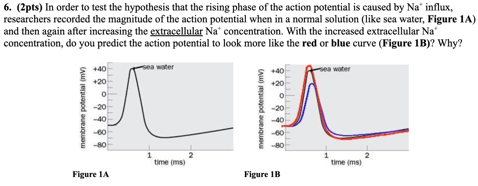 Solved 6. (2pts) In order to test the hypothesis that the | Chegg.com