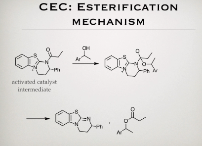 Solved CEC: ESTERIFICATION MECHANISM activated catalyst | Chegg.com