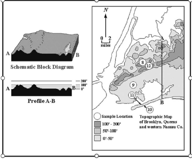 Solved What is the vertical exaggeration of the profile in | Chegg.com