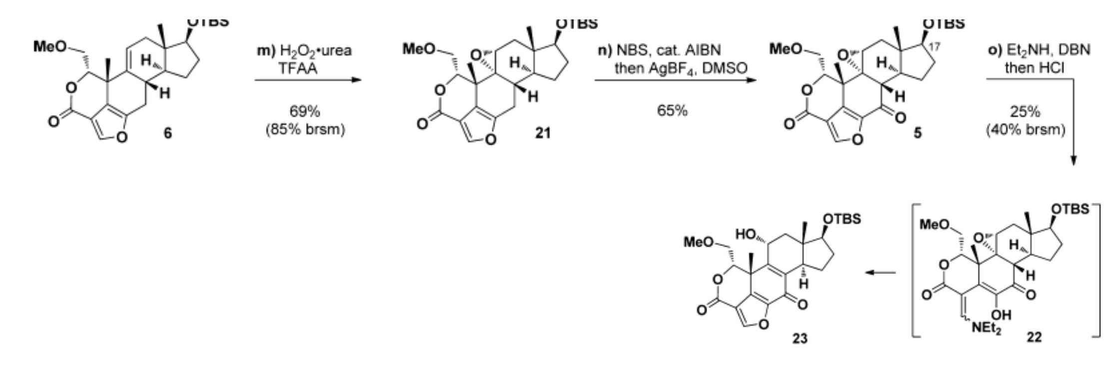 Solved UIDS OTBS Meo Meo OTBS n) NBS, cat. AIBN then AgBF4. | Chegg.com