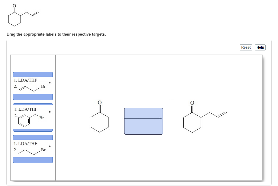 Solved Drag the appropriate labels to their respective | Chegg.com
