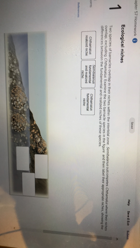 Solved apter 57 Homework Help Save & Exit Su Ecological | Chegg.com