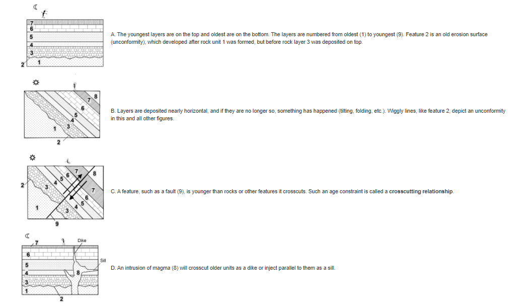 Solved MODULES Worksheet 8A. Using the principles of | Chegg.com