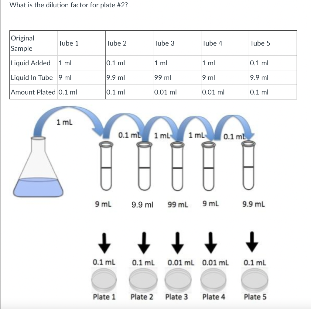 Solved What is the dilution factor for plate \#2? | Chegg.com