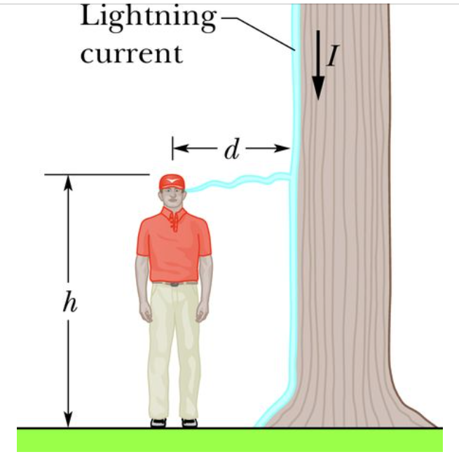 Solved .-27 Side flash. Figure 27-38 indicates one reason no | Chegg.com
