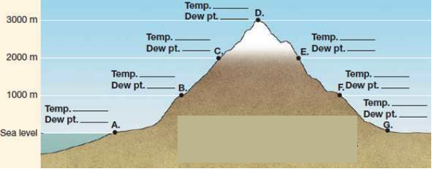 Solved 3. Fill in the blanks for temperature and dew point | Chegg.com
