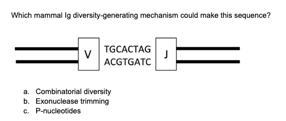 Solved Which mammal Ig diversity-generating mechanism could | Chegg.com