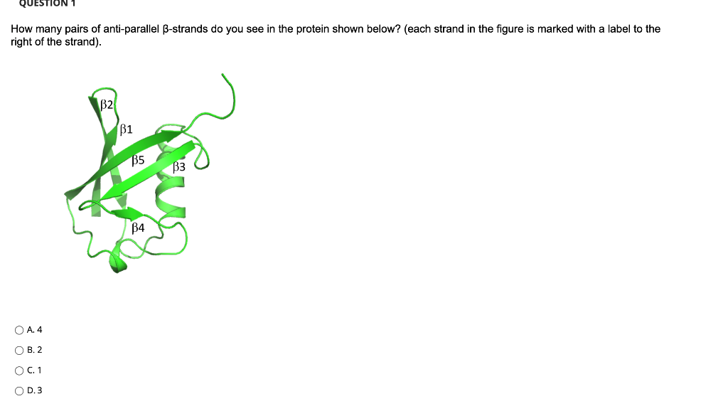 Solved QUESTION How many pairs of anti-parallel B-strands do | Chegg.com