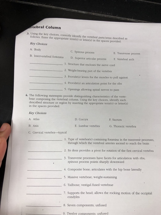Using Key Choices Identify the Arteries Described as Follows Using Key Choices Identify the Arteries Described as Follows