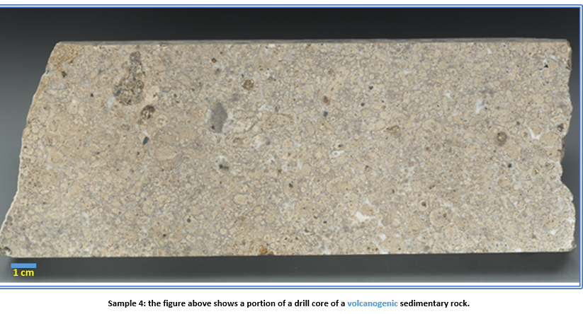 1 mm Sample 5: the figure above shows a sedimentary | Chegg.com