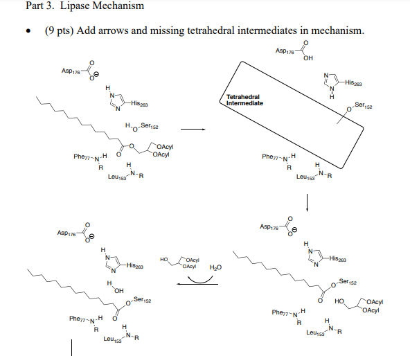 Solved Part 3. Lipase Mechanism (9 pts) Add arrows and | Chegg.com