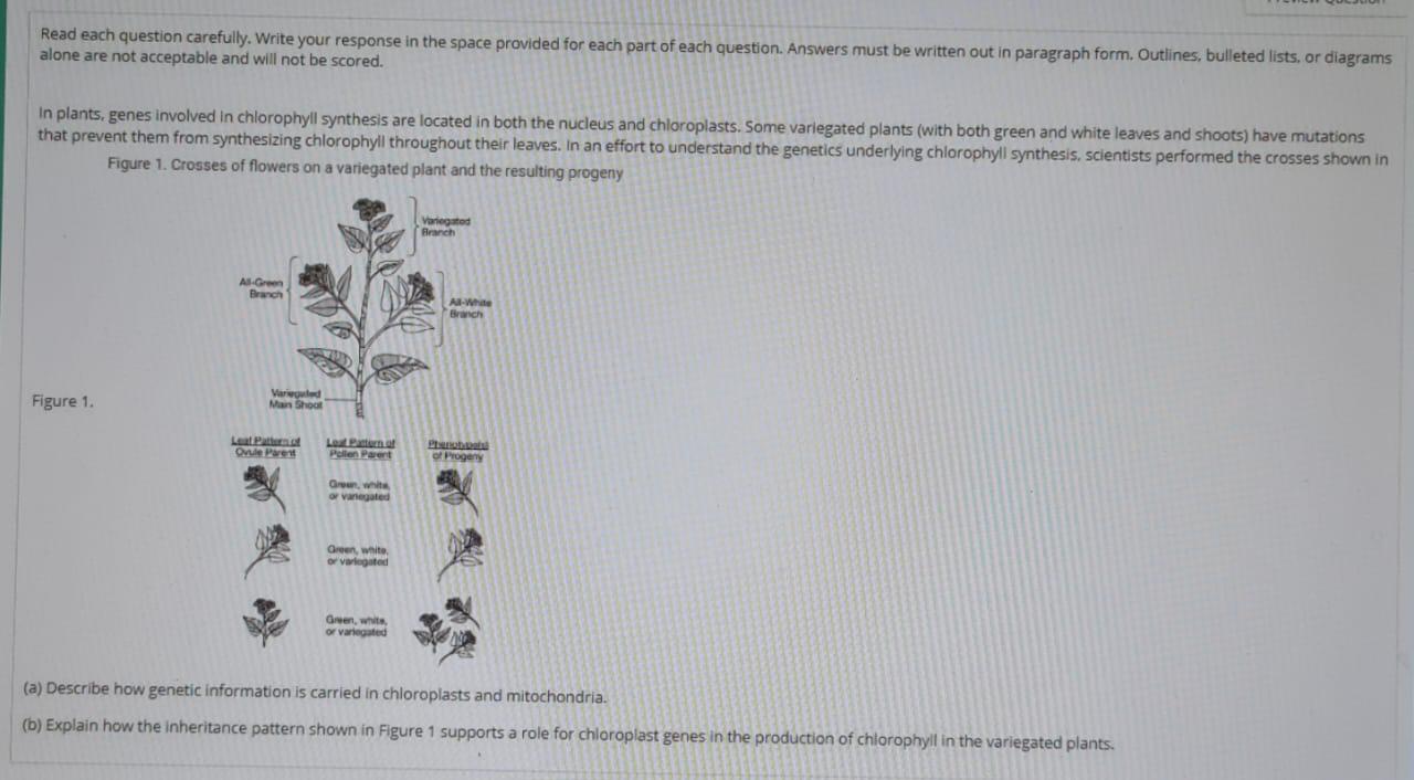 Solved Read each question carefully. Write your response in | Chegg.com