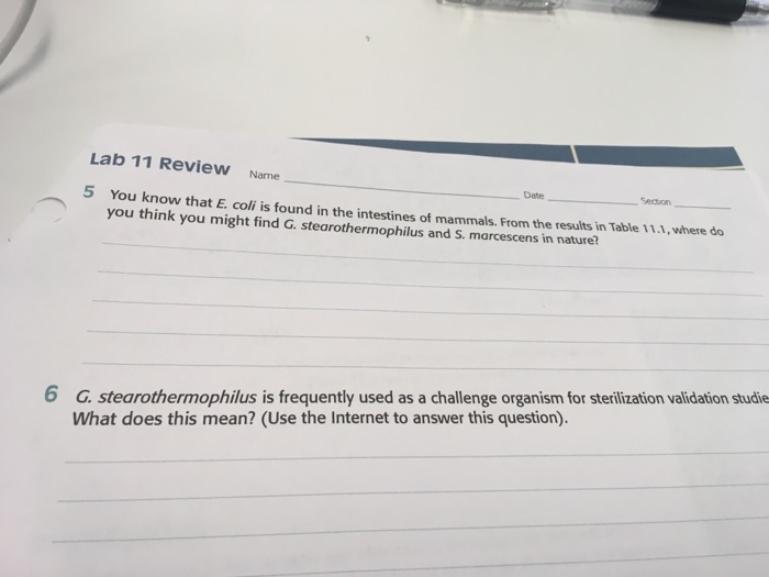 Solved Lab 11 Review Name Date Section You know that E. coli | Chegg.com