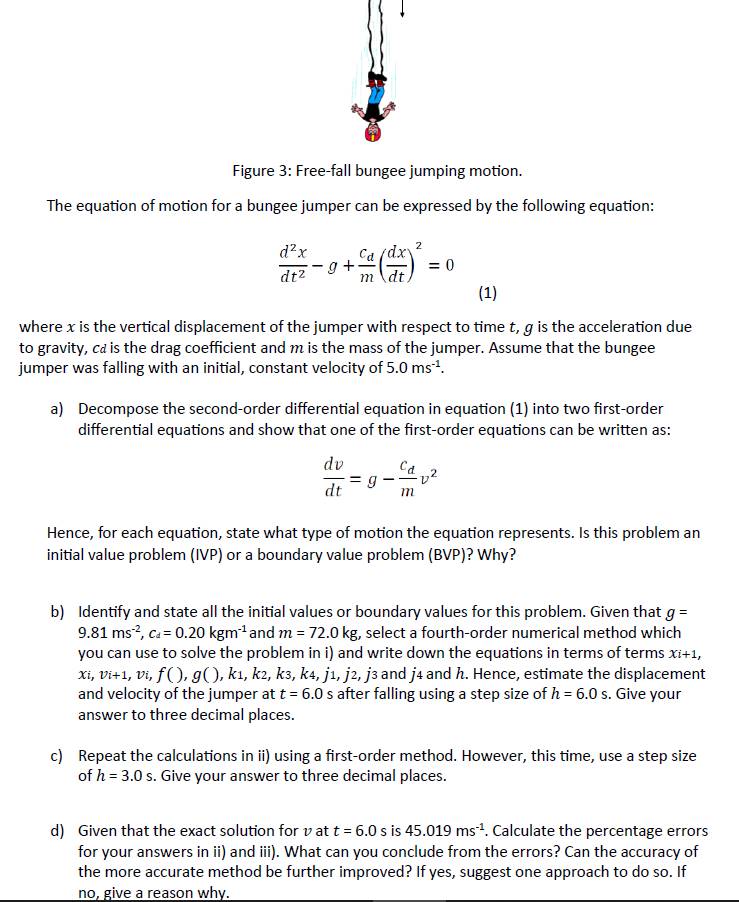 Solved Figure 3: Free-fall bungee jumping motion. The | Chegg.com