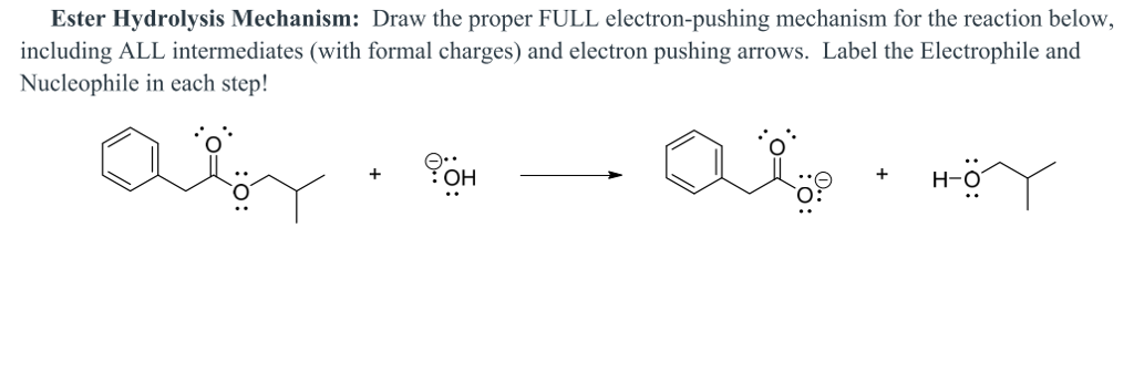 Solved 5. Fischer Esterification Mechanism Draw the proper | Chegg.com