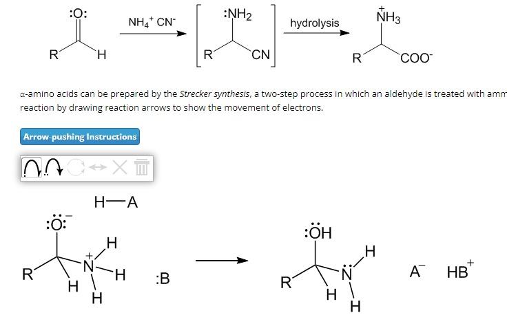 Solved a-amino acids can be prepared by the Strecker | Chegg.com