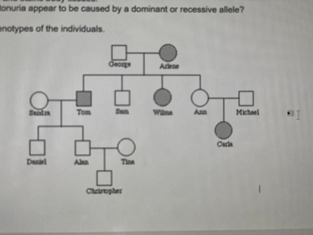 Solved 28. The pedigree below traces the inheritance of | Chegg.com