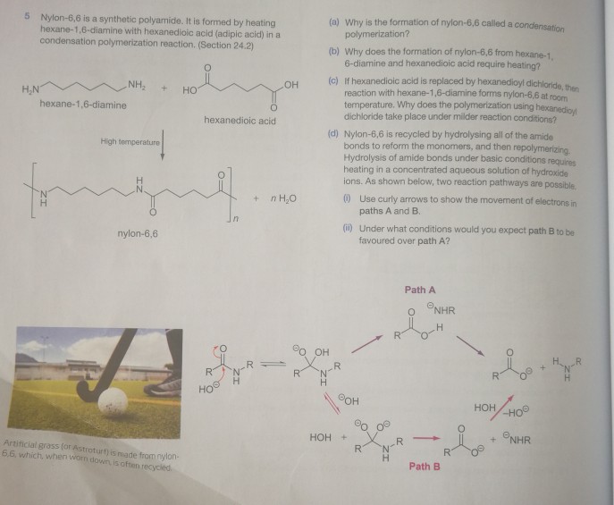 Solved Why is the formation of nylon-6,6 called a co | Chegg.com