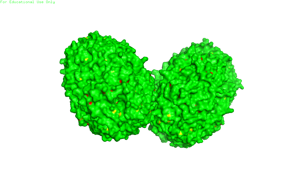 Solved Describe the topology of Collagen type IV surface | Chegg.com