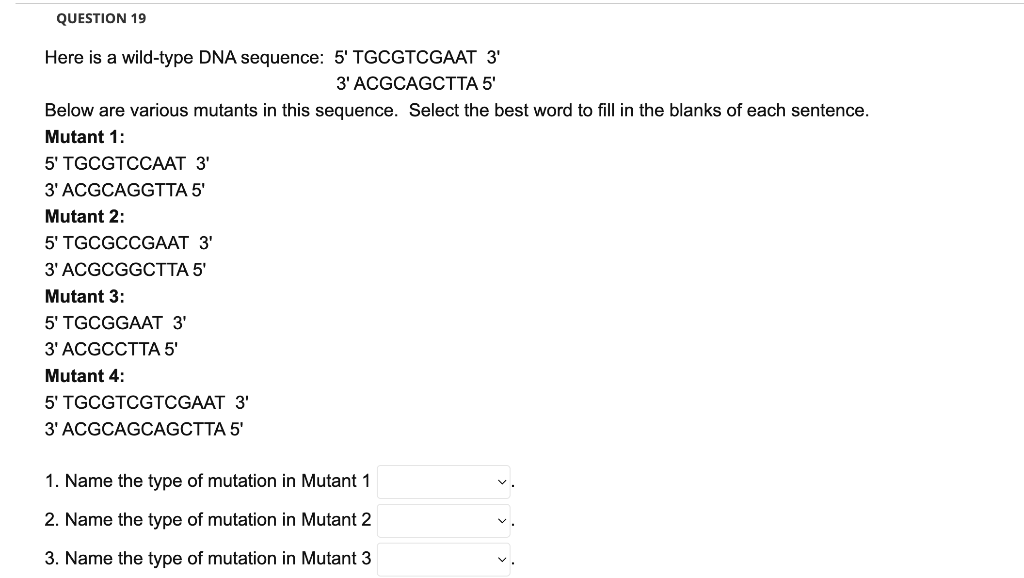 Solved QUESTION 19 Here is a wild-type DNA sequence: 5' | Chegg.com