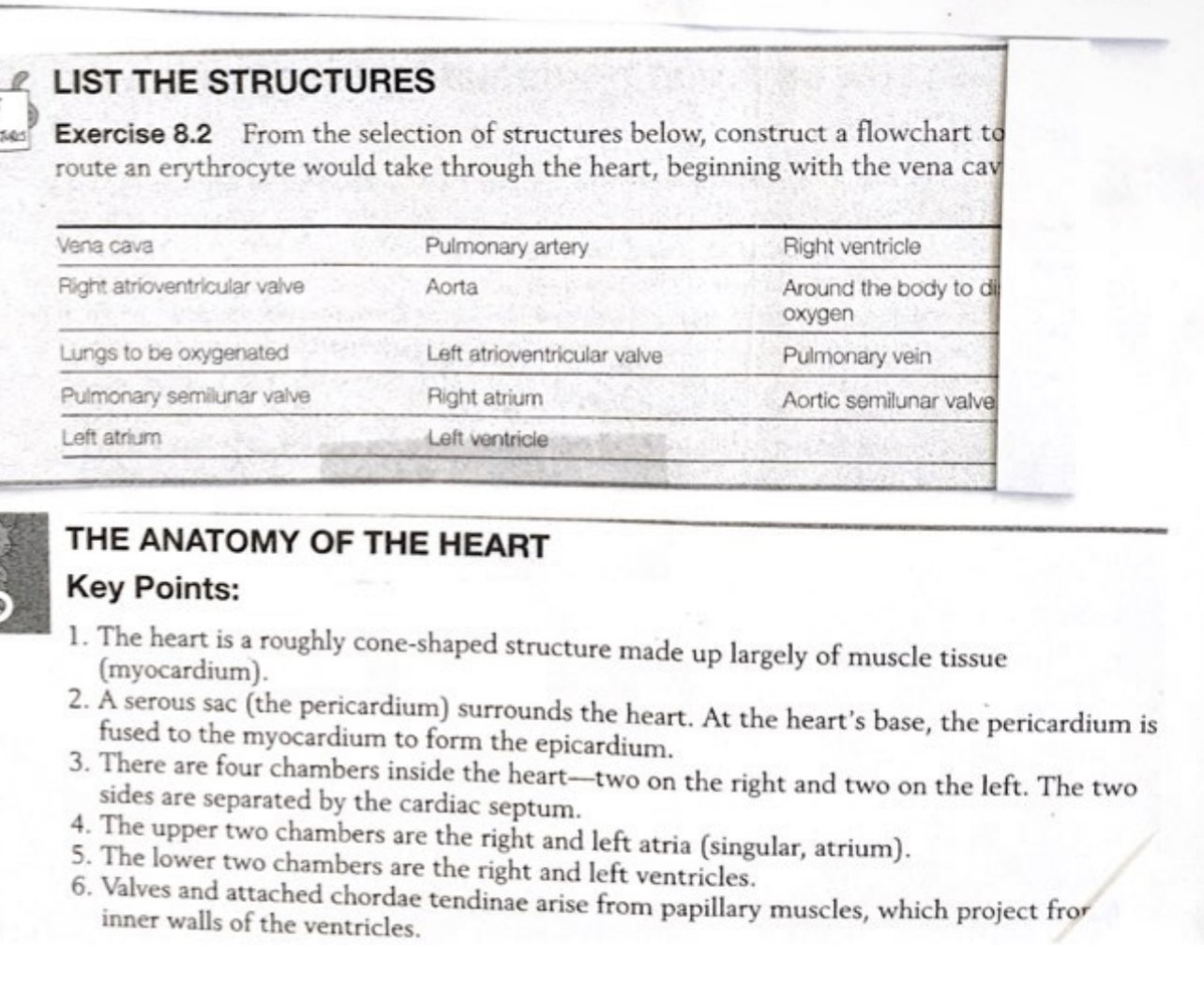 Solved LIST THE STRUCTURES Exercise 8.2 From the selection | Chegg.com