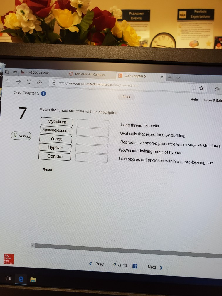 Solved Realistic Expectations PLEASANT EVENTS McGraw Hill | Chegg.com
