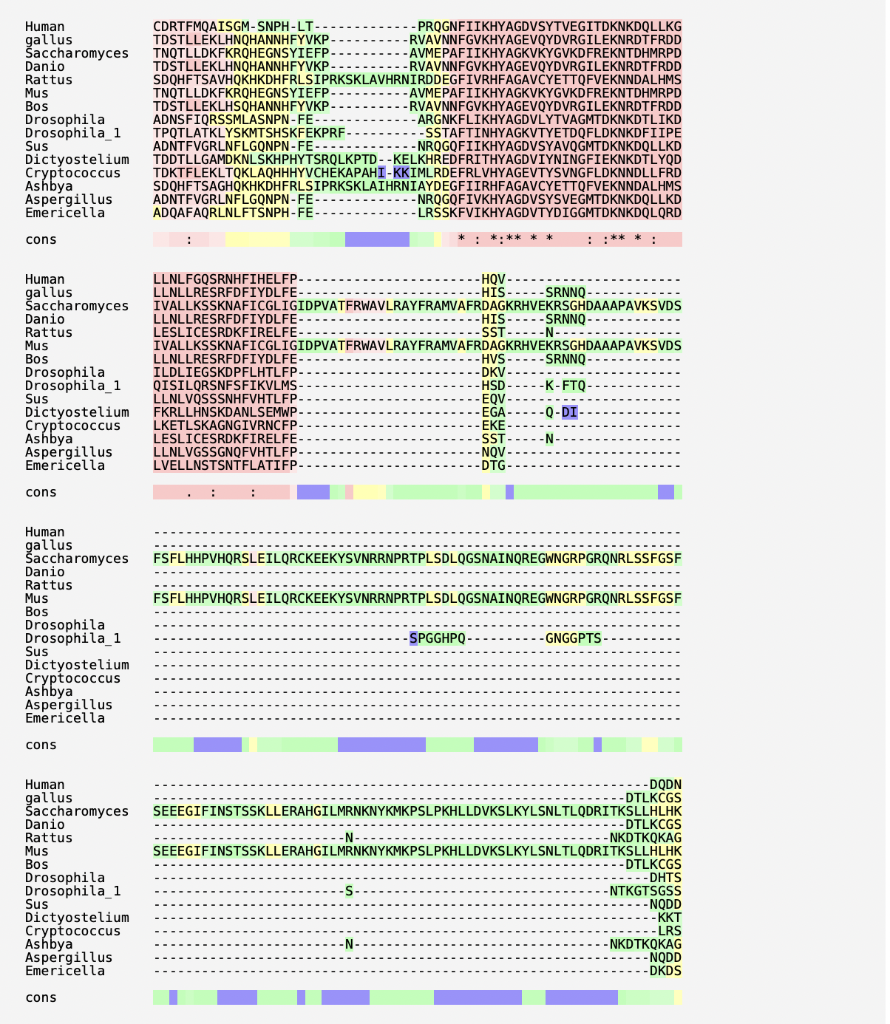Solved MSA The multiple sequence alignment result as | Chegg.com