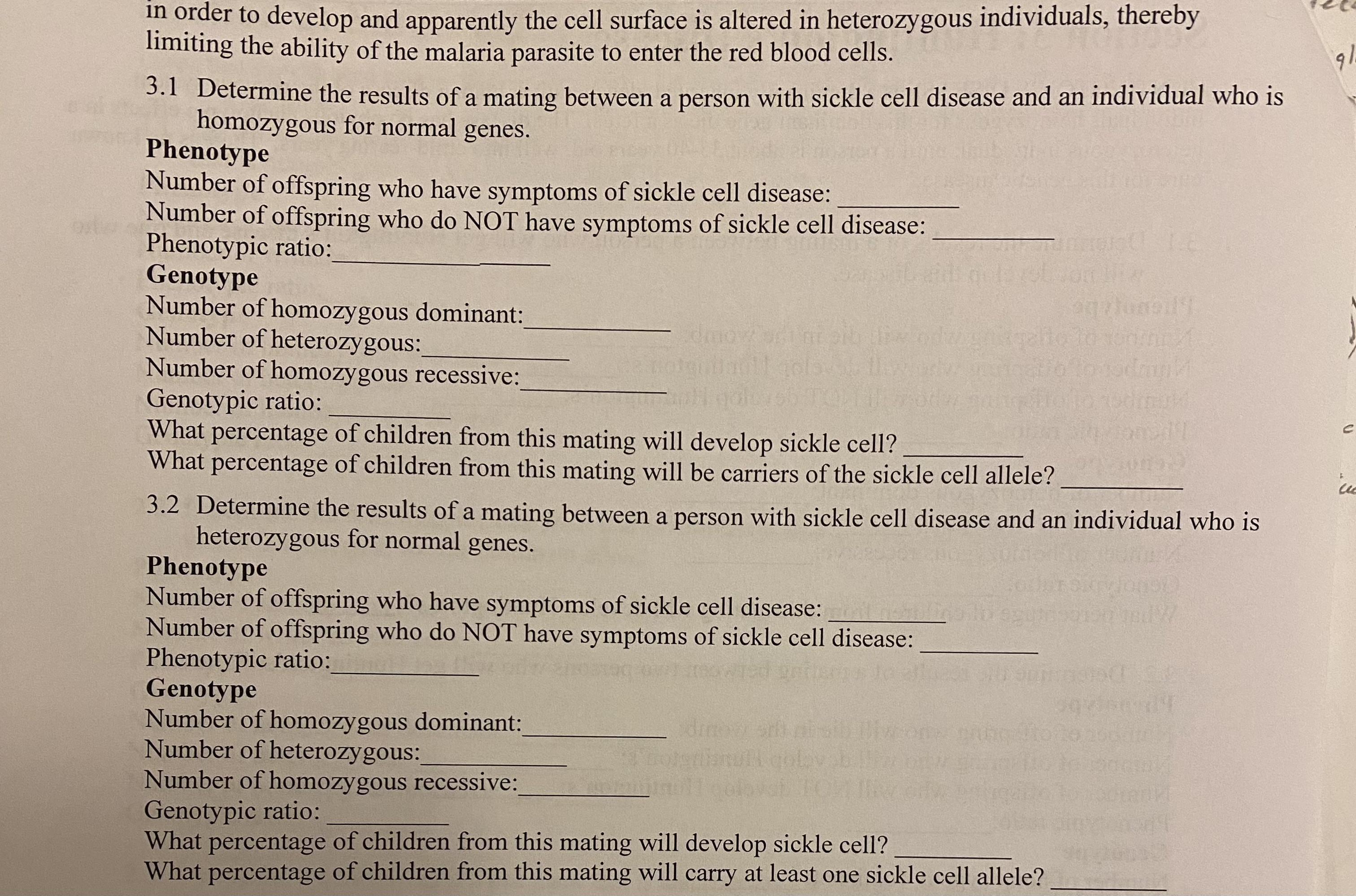 Solved Section 4: Sickle Cell Disease Sickle cell anemia is | Chegg.com