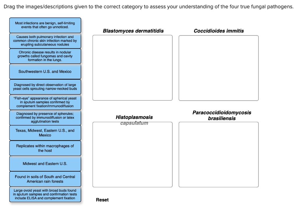 Solved Drag the images/descriptions given to the correct | Chegg.com Solved Drag the images/descriptions given to the correct | Chegg.com