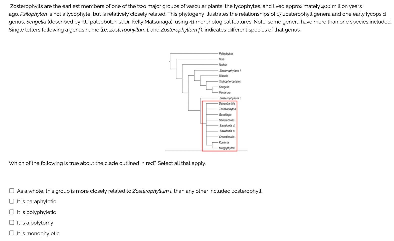 Solved Zosterophylls are the earliest members of one of the | Chegg.com