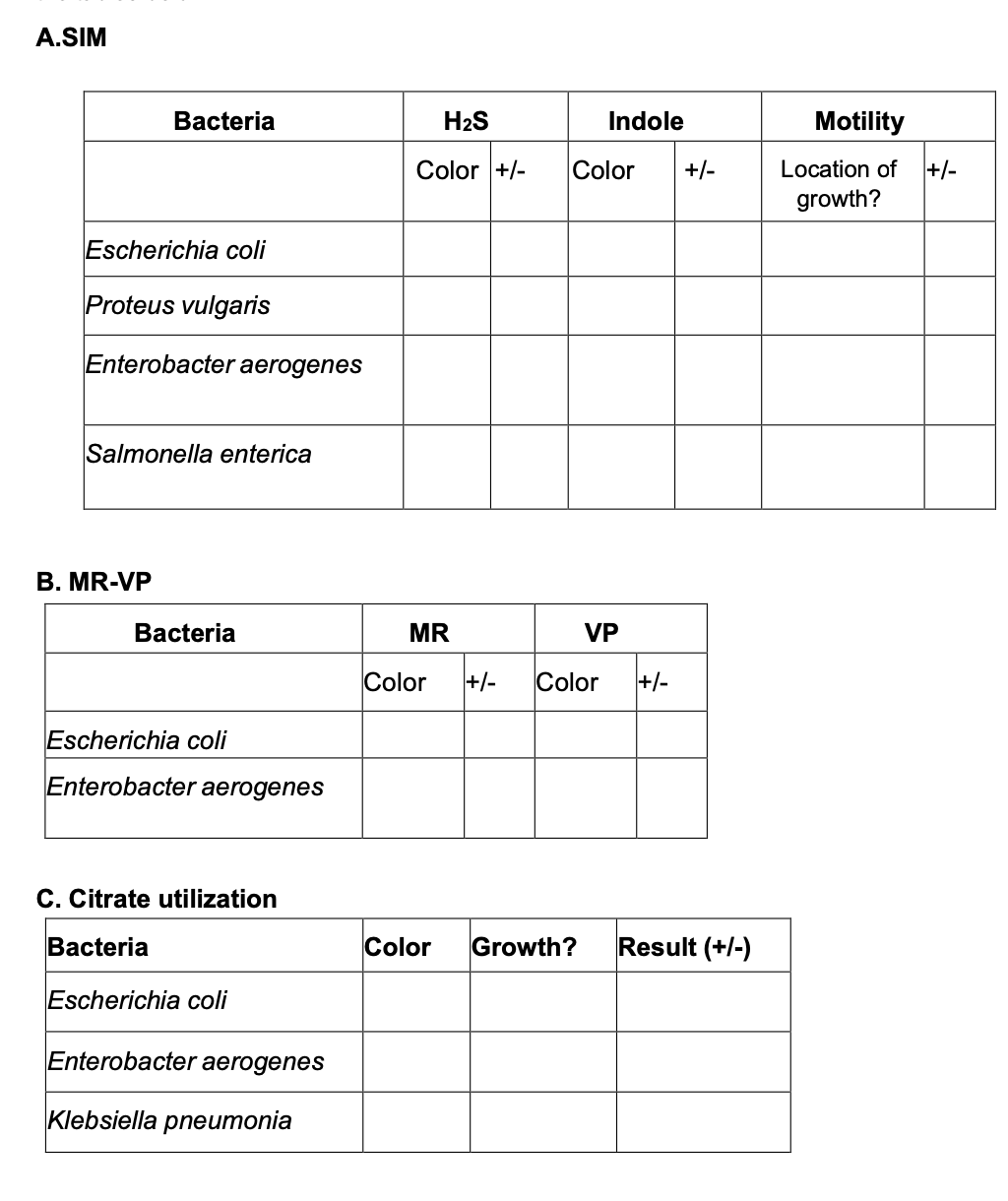 Solved A.SIM Bacteria H2S Indole Motility Color +/- Color | Chegg.com